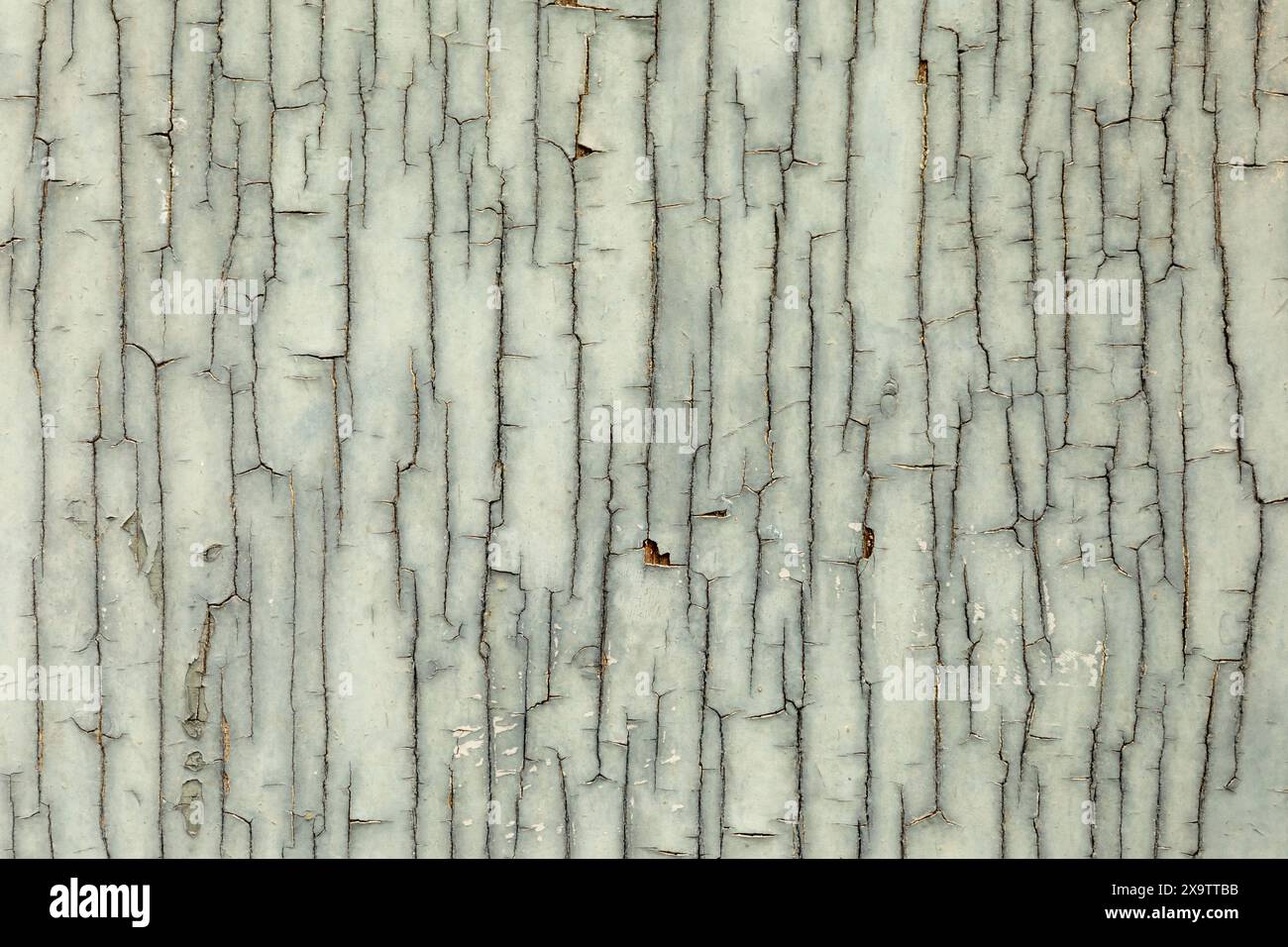 pattern of old paint at the wall with cracked old rotten peeling of oil ...