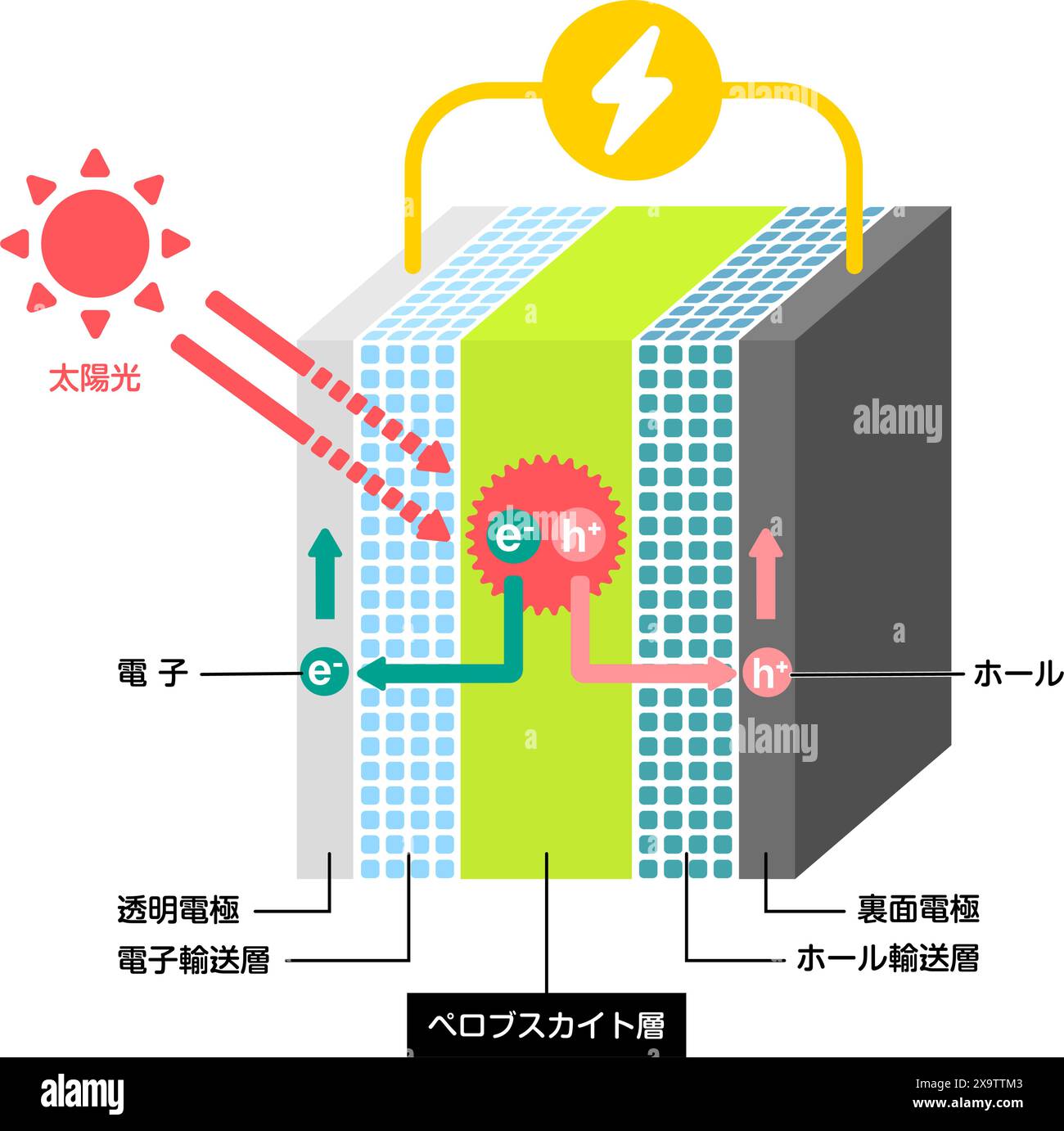 Mechanism illustration of Perovskite Solar Cells Stock Vector Image ...
