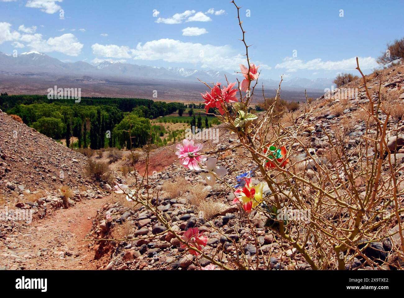 a cemetery or a graveyard where dead people are buried cemetery or ...