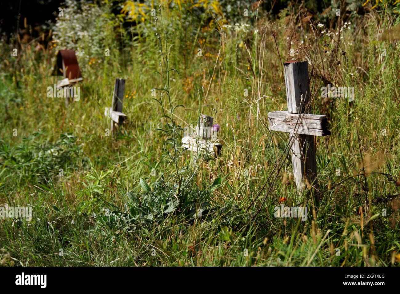 a cemetery or a graveyard where dead people are buried cemetery or ...