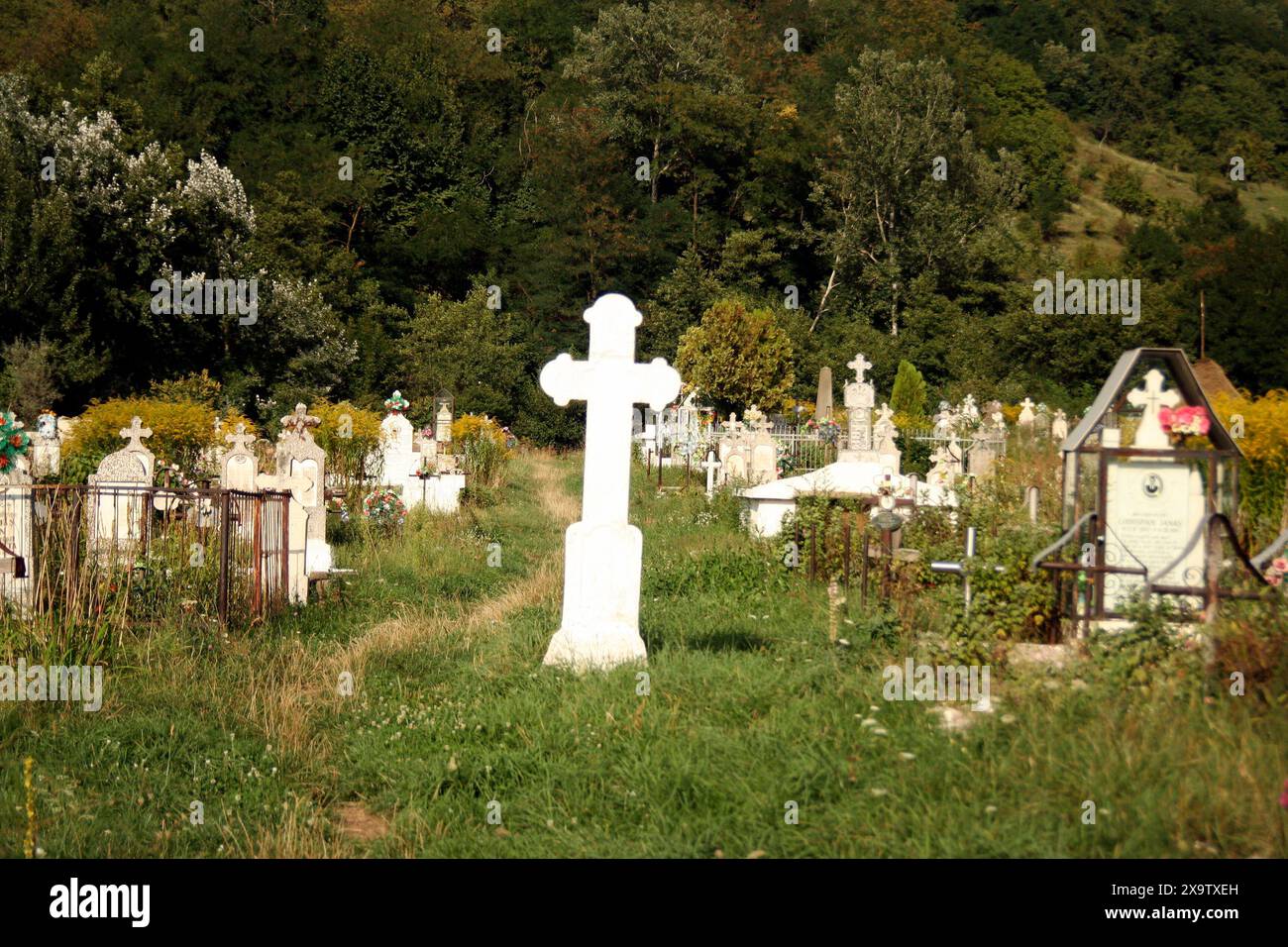 a cemetery or a graveyard where dead people are buried cemetery or ...
