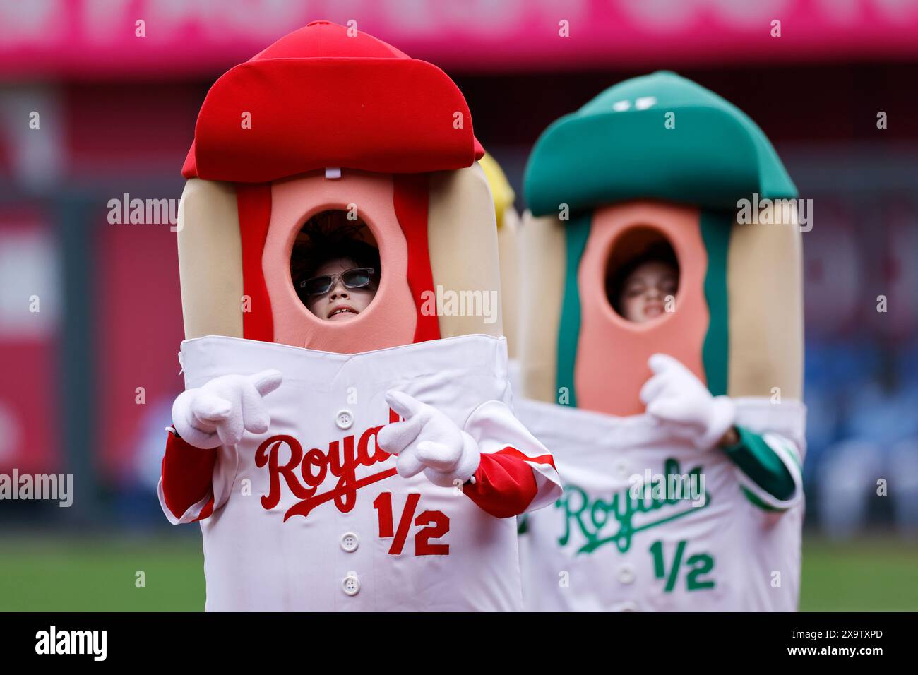 Mlb fans hot dog hi-res stock photography and images - Alamy