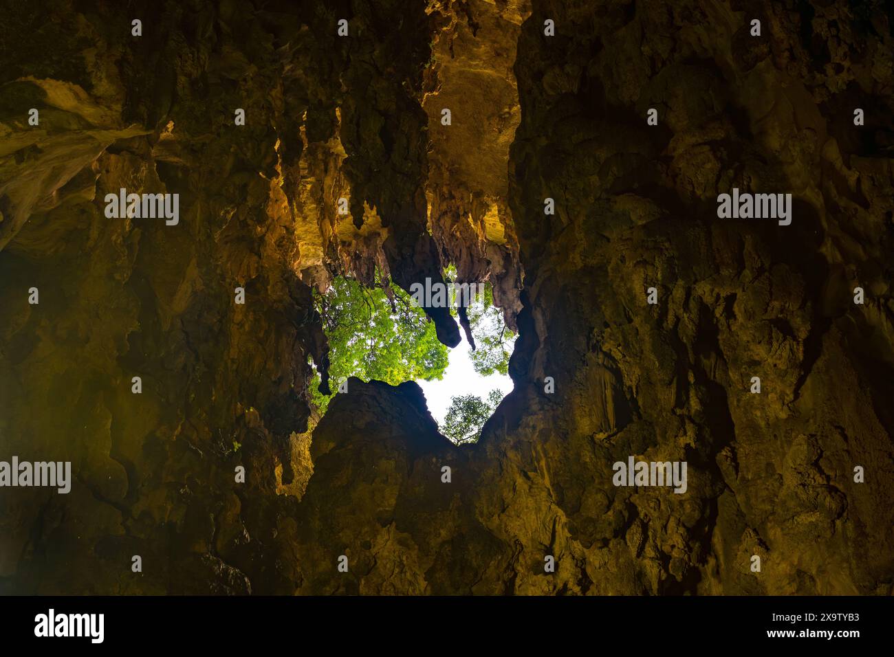 beautiful Cave with sky and Forest inside limestone cave of batu cave ...