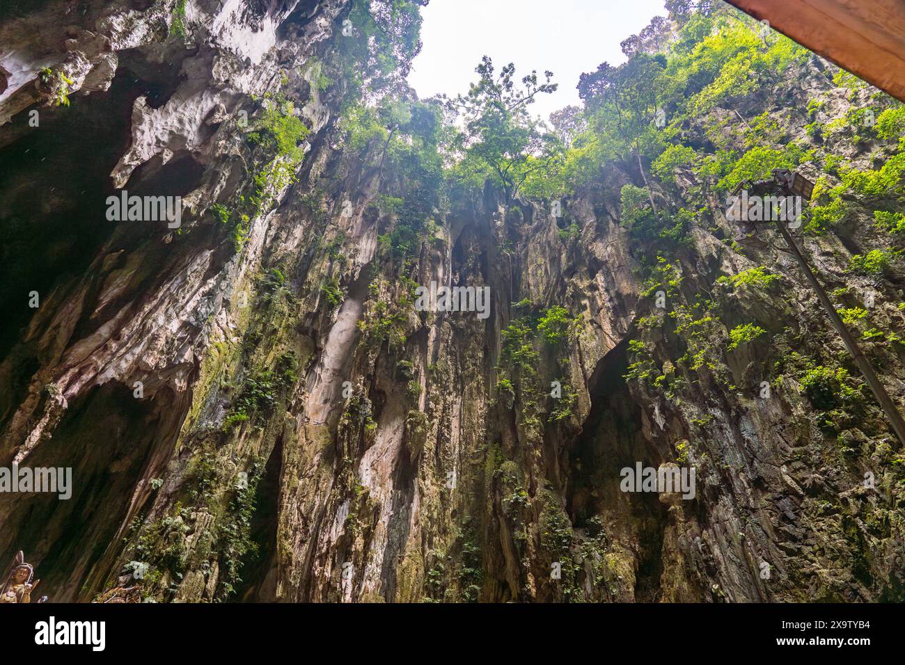 beautiful Cave with sky and Forest inside limestone cave of batu cave ...