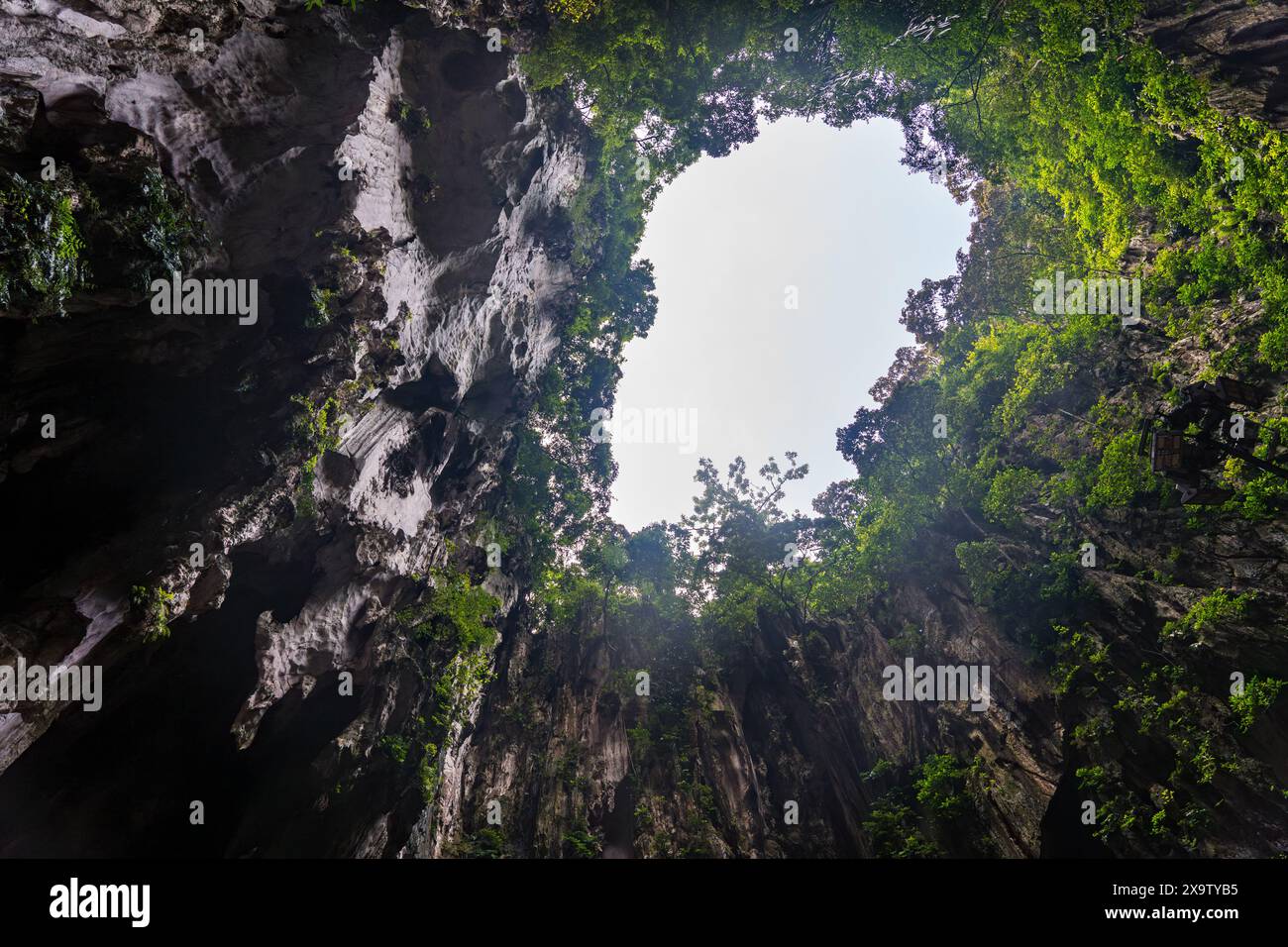 beautiful Cave with sky and Forest inside limestone cave of batu cave ...