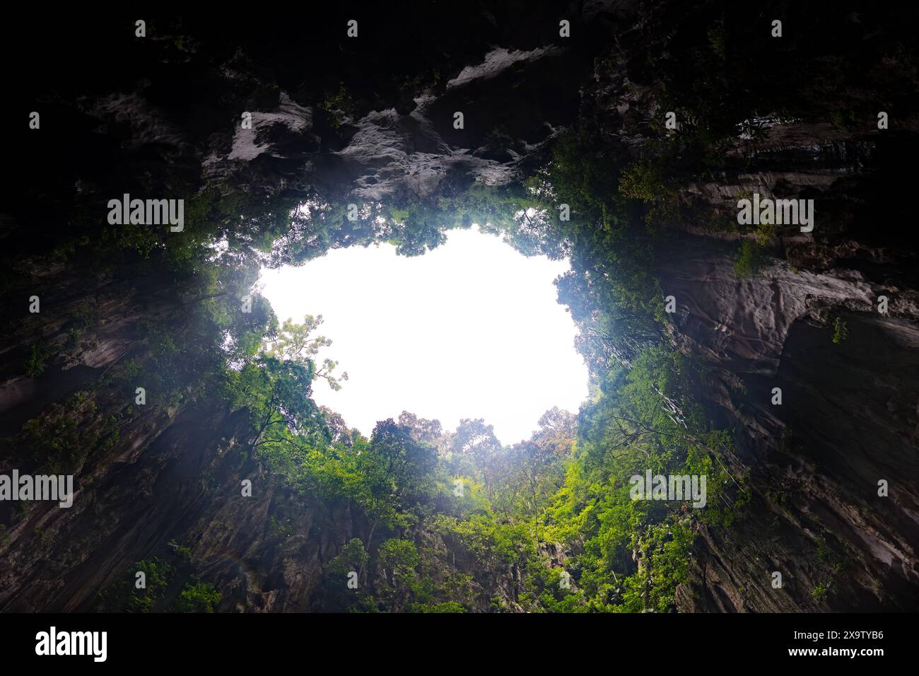 beautiful Cave with sky and Forest inside limestone cave of batu cave ...