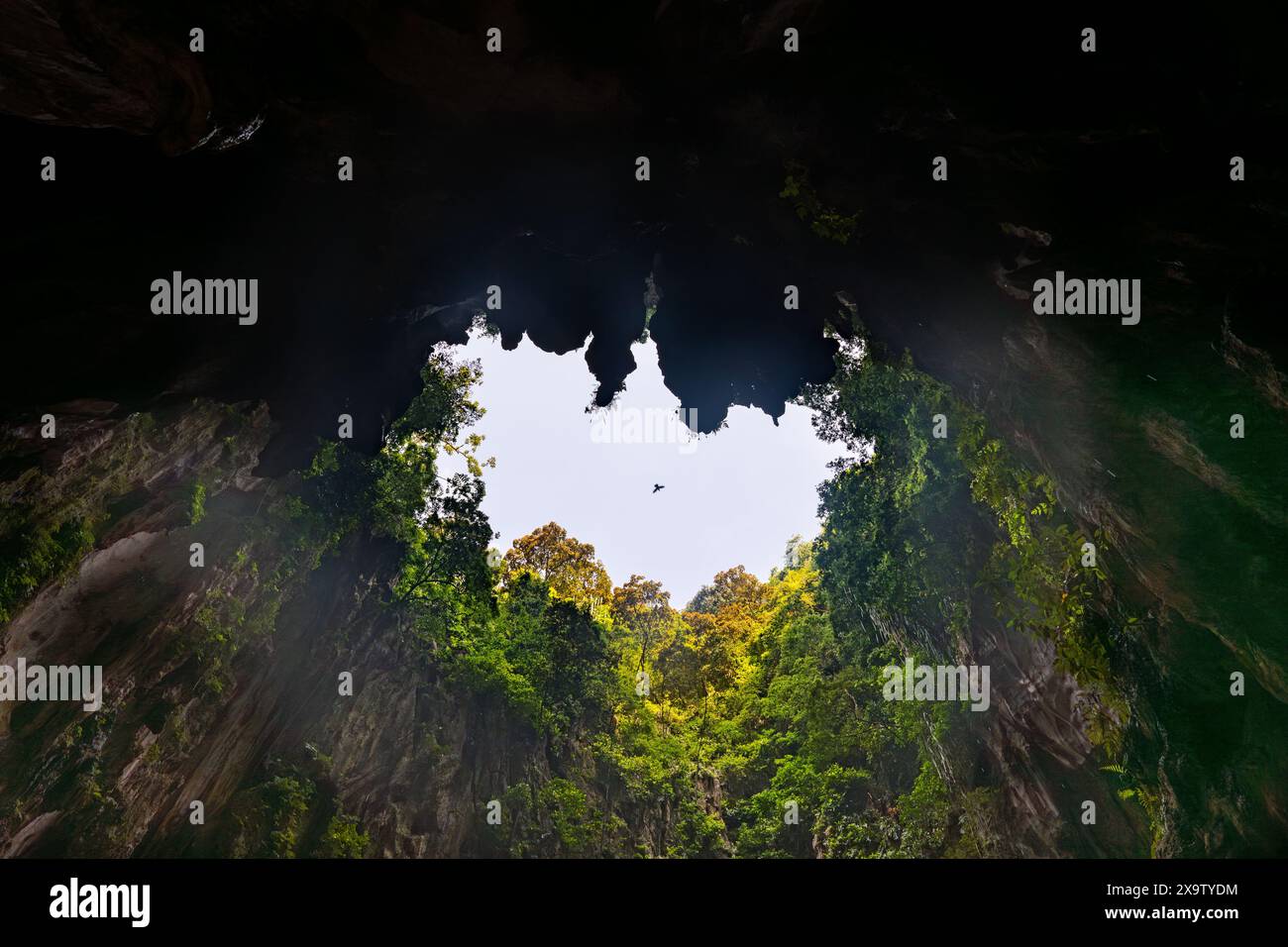beautiful Cave with sky and Forest inside limestone cave of batu cave ...