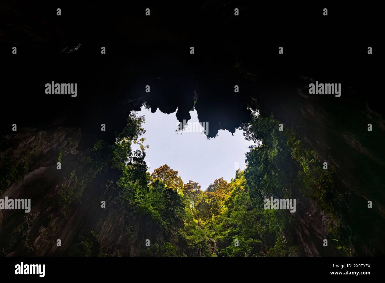 beautiful Cave with sky and Forest inside limestone cave of batu cave ...