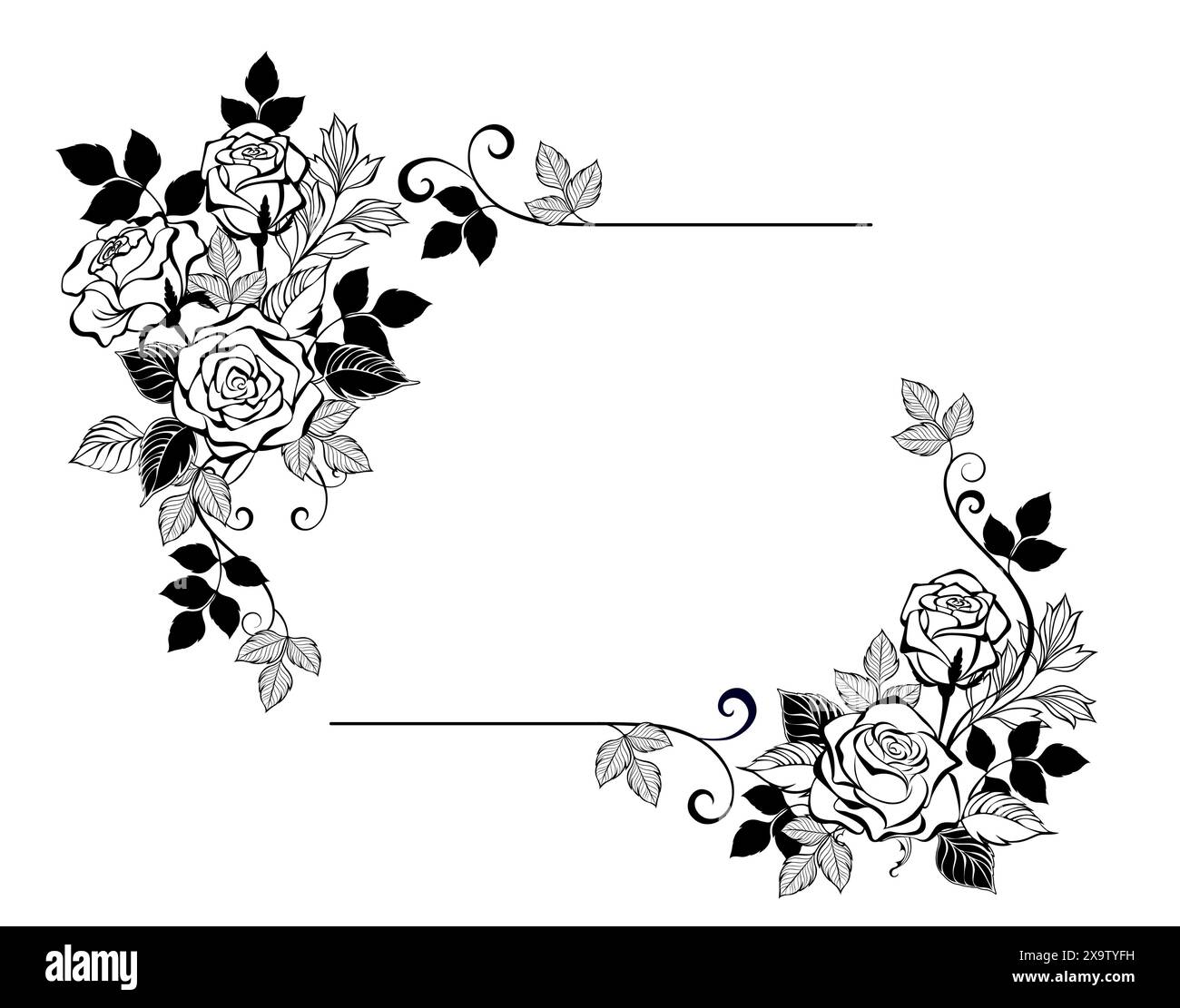 White climbing roses on Cut Out Stock Images & Pictures - Alamy