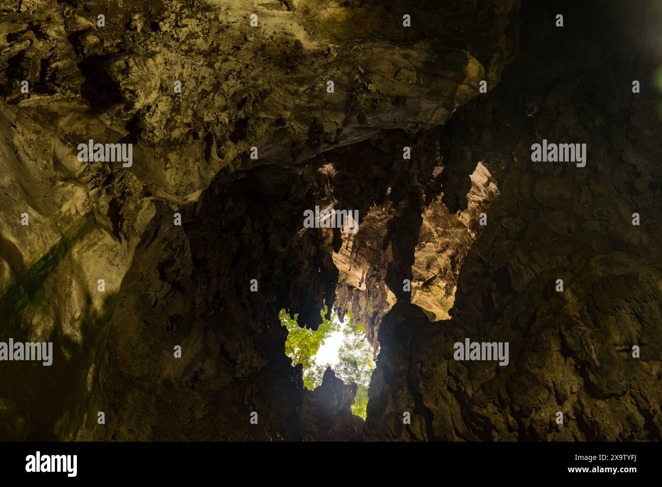 beautiful Cave with sky and Forest inside limestone cave of batu cave ...