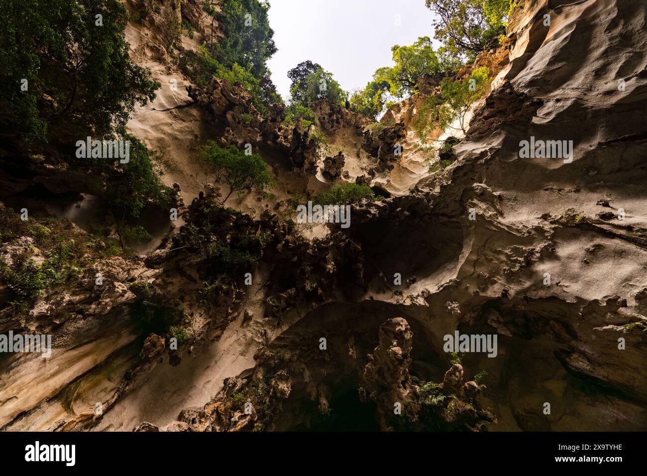 beautiful Cave with sky and Forest inside limestone cave of batu cave ...
