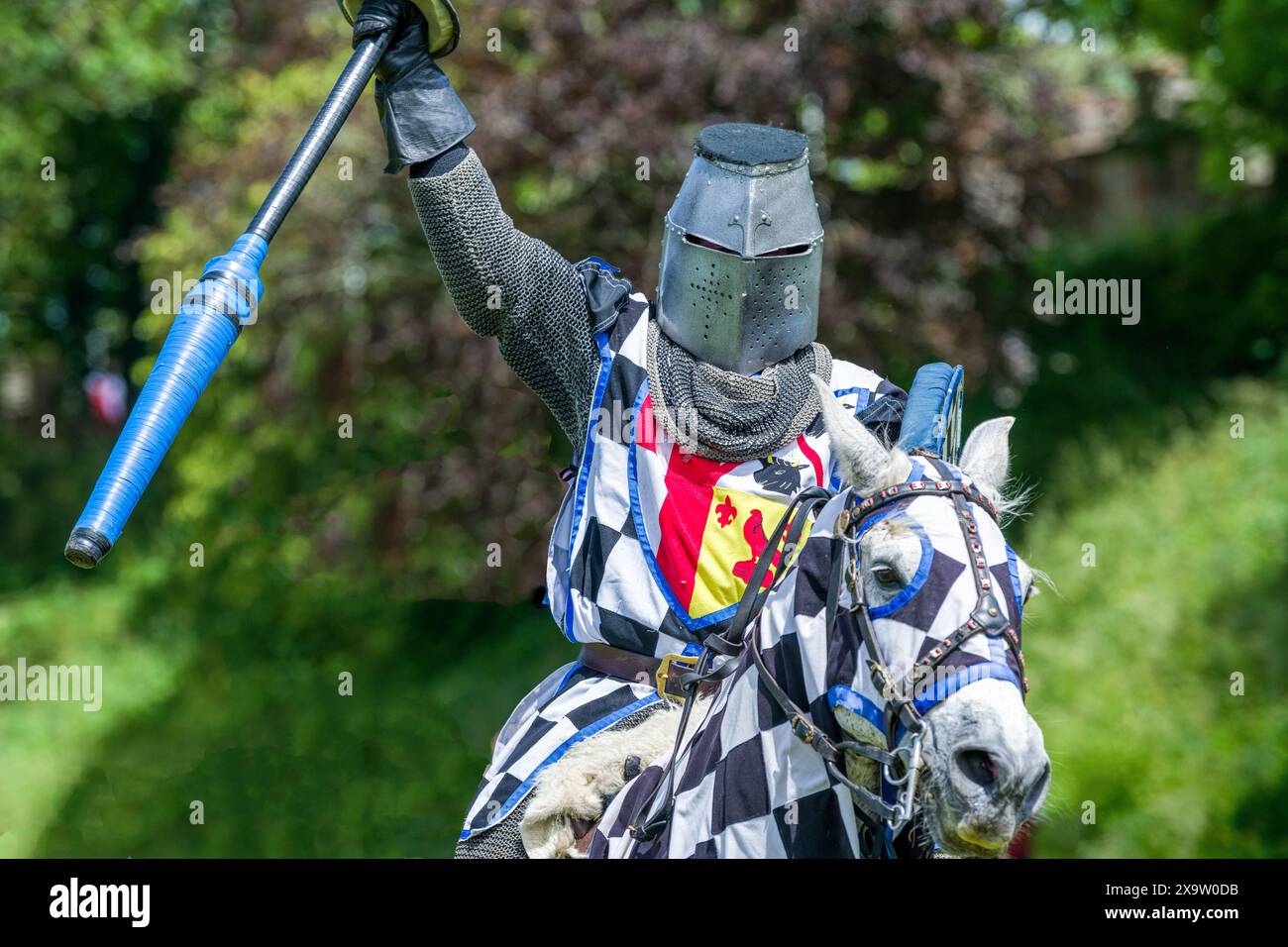 Sir Sam salutes the crowd. The Joust, Cardiff, UK. 15th June 2019 Stock ...