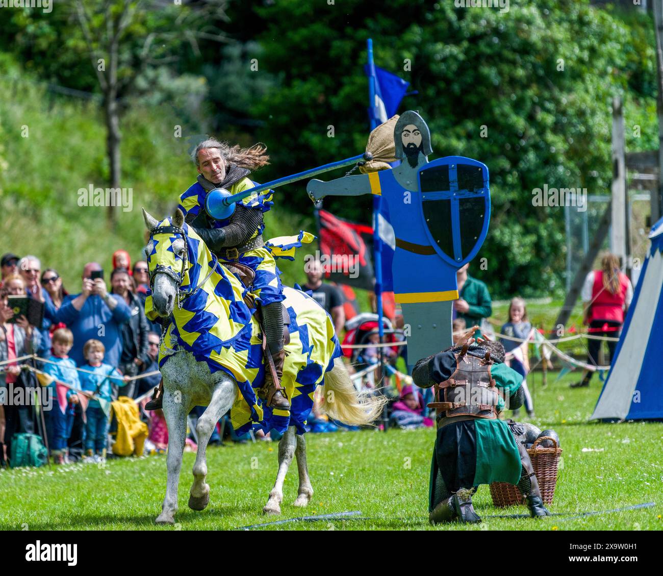 Sir David on his Andalusian mount practices jousting by striking a ...