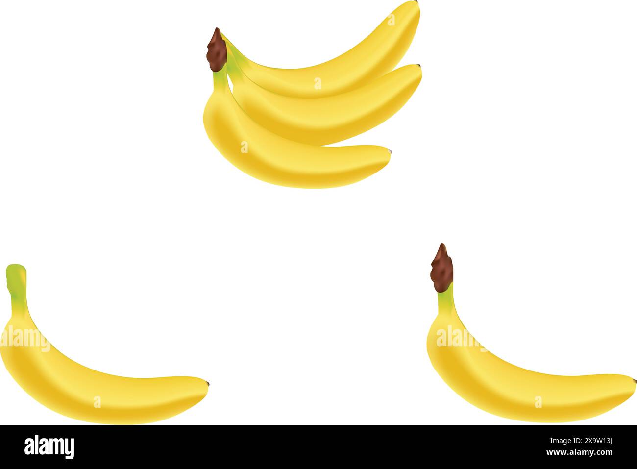 Banana vector illustration Stock Vector Image & Art - Alamy