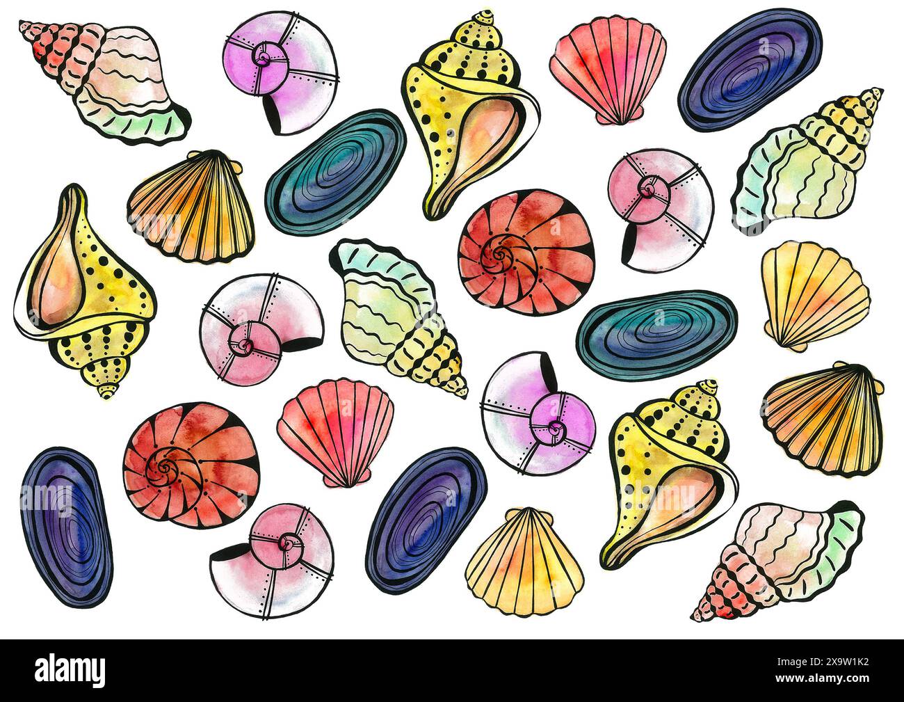 Set of shells of different shapes and colors on a white background ...