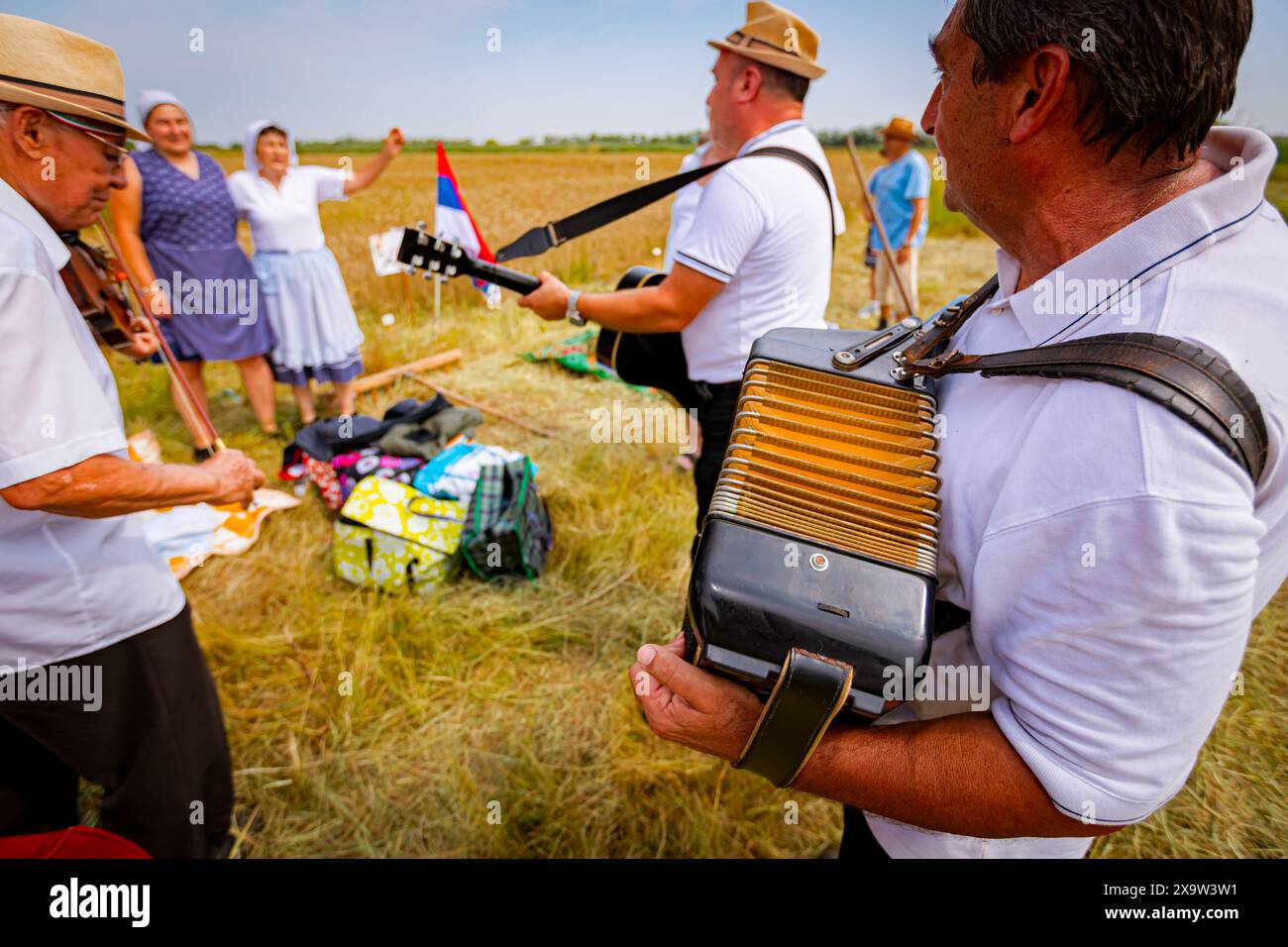 Accordionist is stretching bellows of accordion. Music for success ...