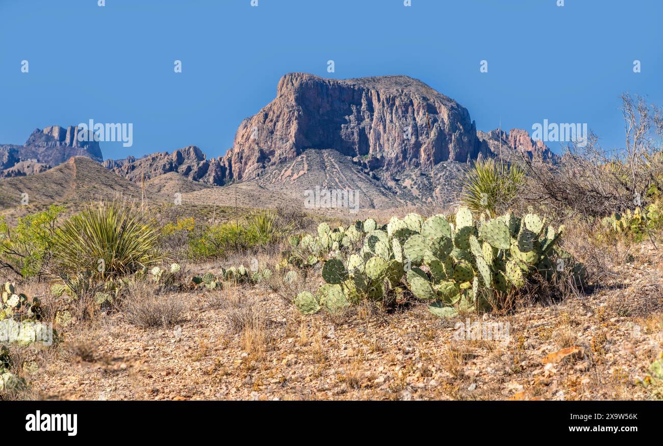 The arid desert landscape of the Big Bend National Park with mountains ...