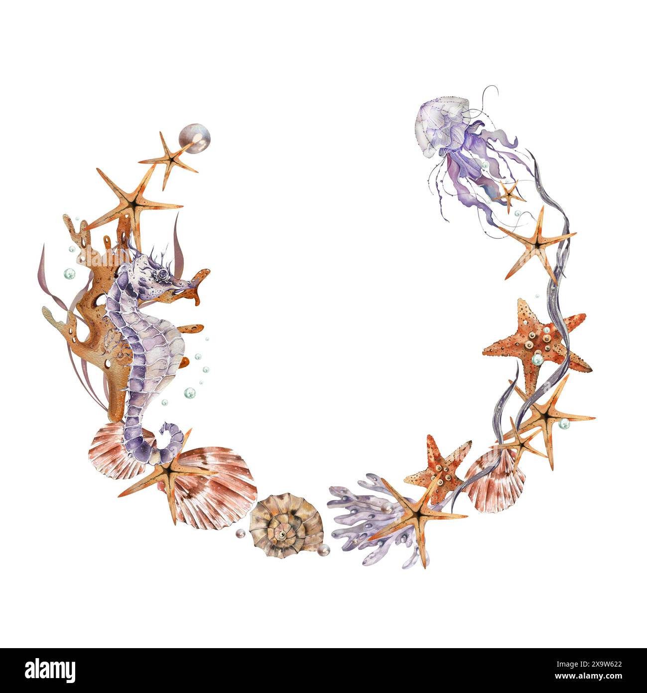 Round Frame. Marine theme. Algae, Seahorse, Starfish, Various Shells ...