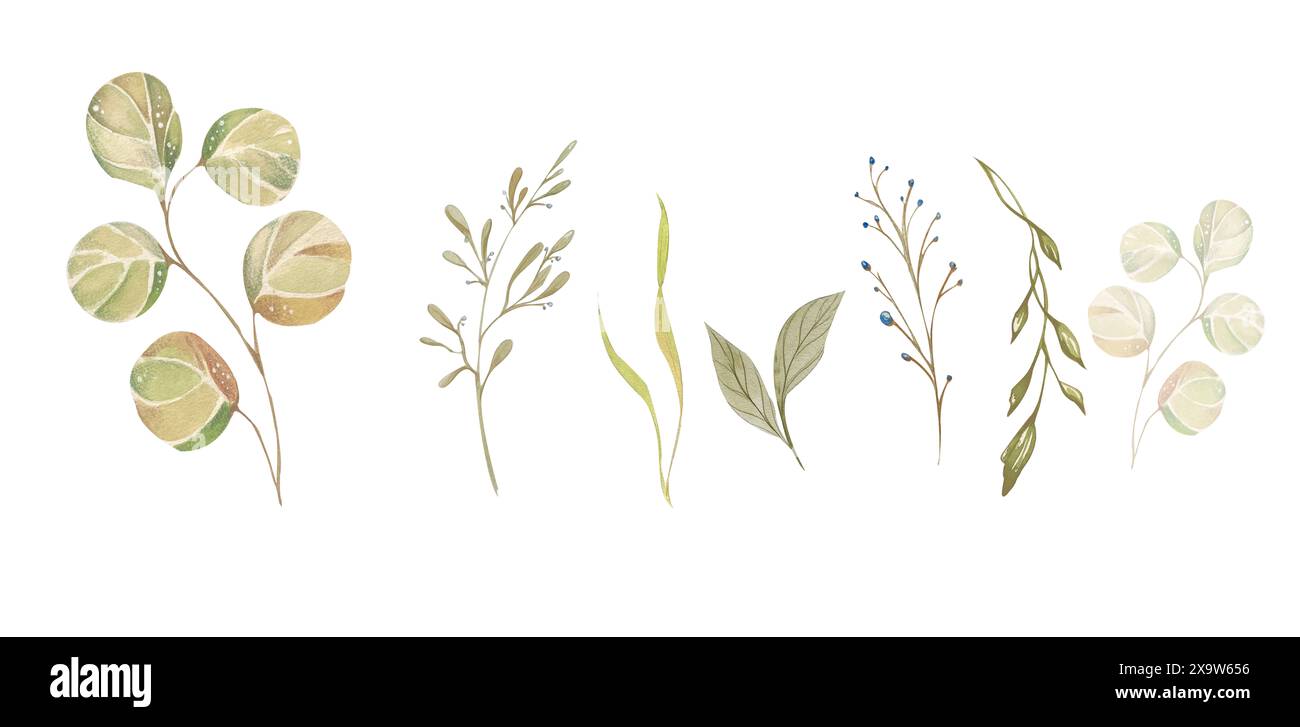 Set of Abstract Watercolor Twigs, Leaves, Herbs. In Beige Green Blue ...