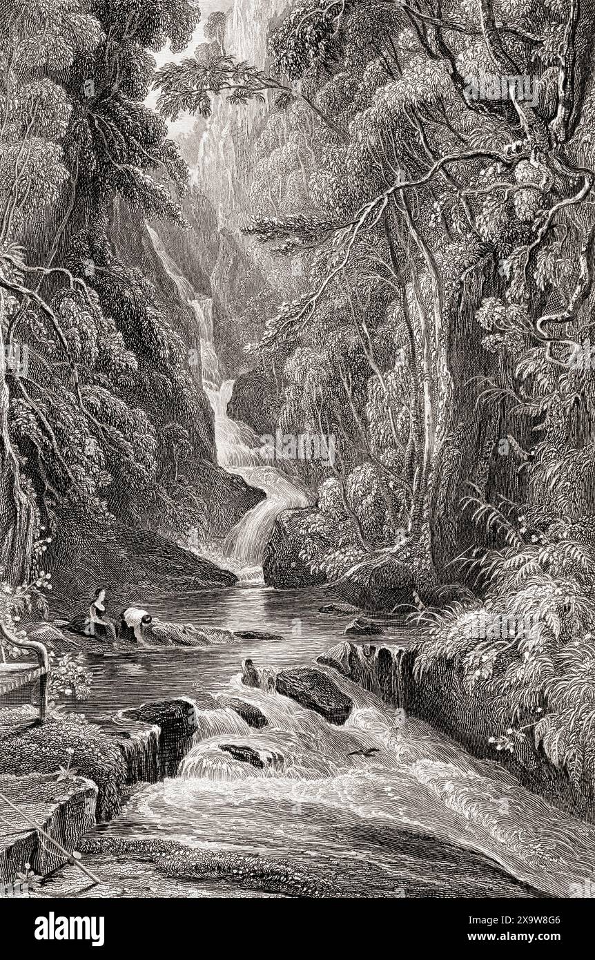 Scotland falls of moness hi-res stock photography and images - Alamy