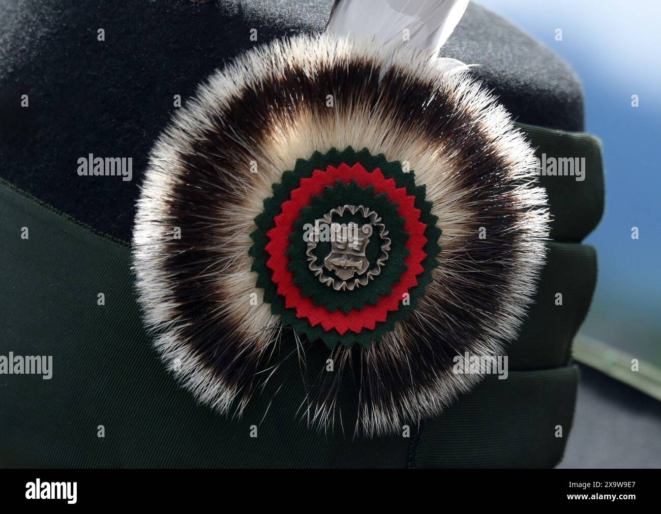 Narzissenfest in Rundlsee am Grundlsee im Steirischen Salzkammergut, am ...