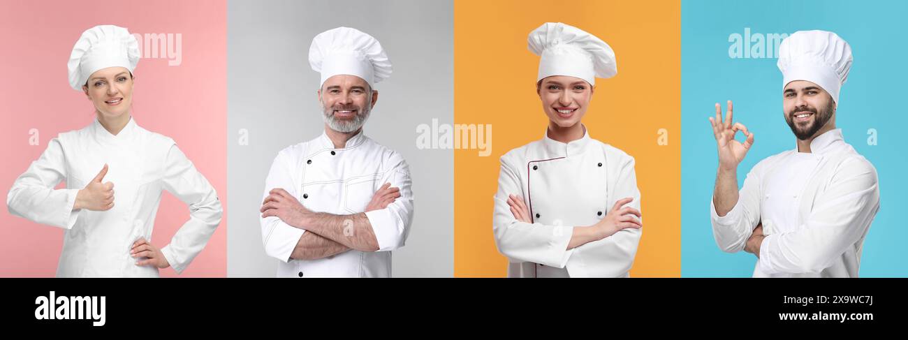 Collage with photos of professional chefs on different color ...