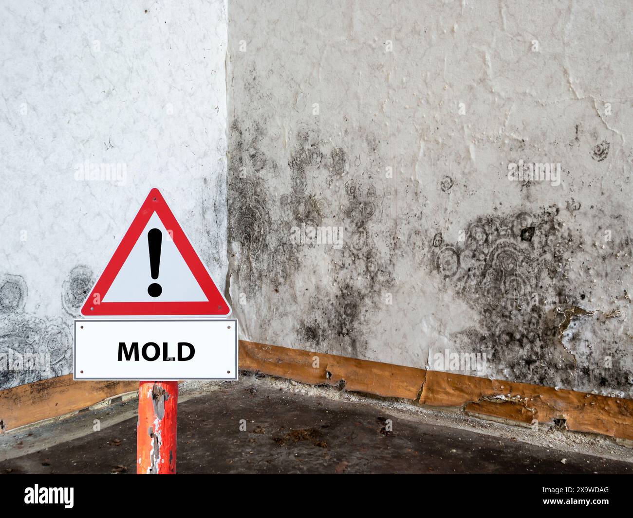 Attention warning sign Mold, symbol image Stock Photo - Alamy