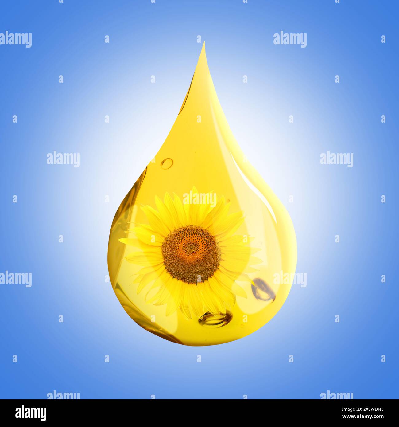 Cooking oil drop with sunflower inside on blue background Stock Photo ...
