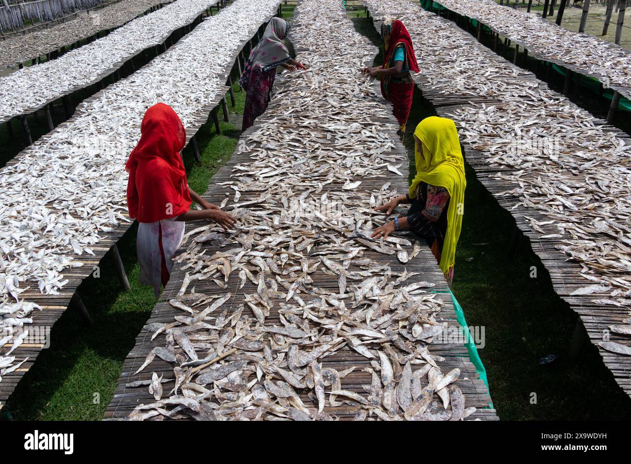 June 3, 2024, Cox's Bazar, Chittagong, Bangladesh: Workers are busy ...