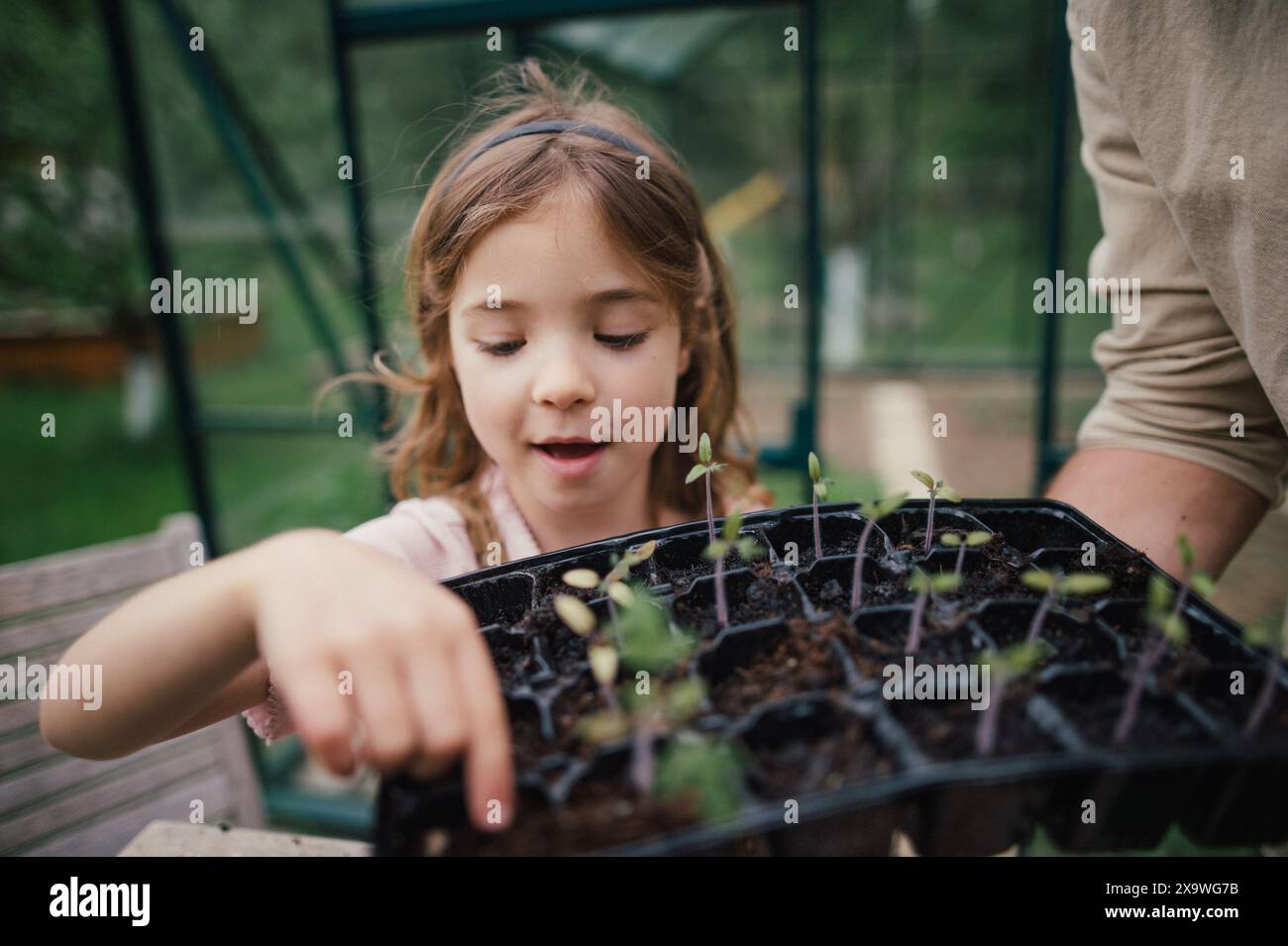 Fater and girl working together in garden, planting seedlings, spending ...