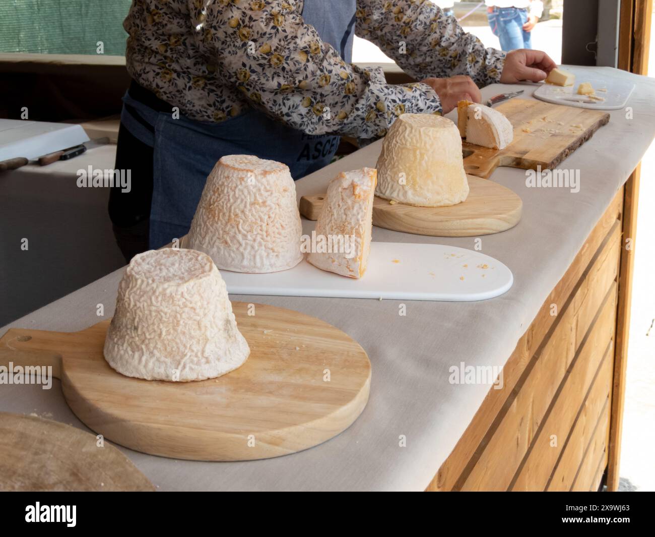 OVIEDO, SPAIN - MAY 10, 2024: Rey Silo artisan cheese with toad skin ...