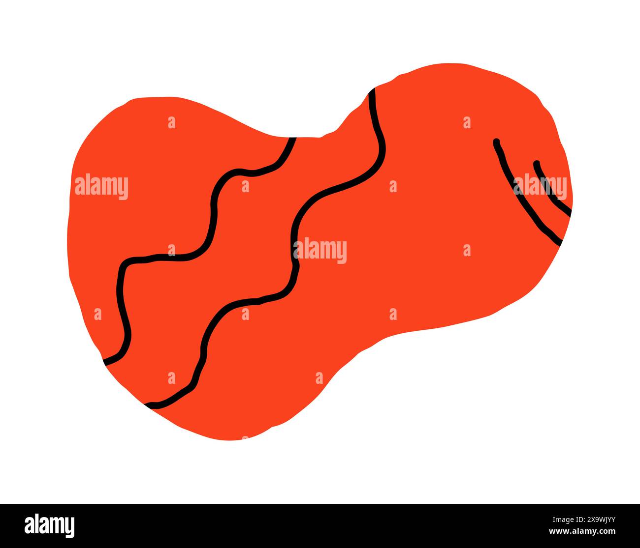 Hand drawn pencil organic shapes with doodle strokes and outlines ...