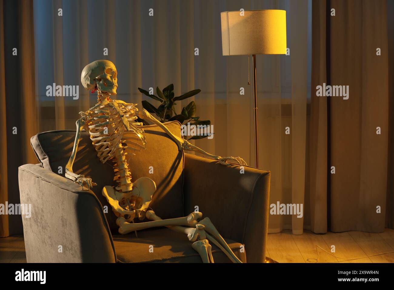 Waiting concept. Human skeleton sitting in armchair at home, space for ...