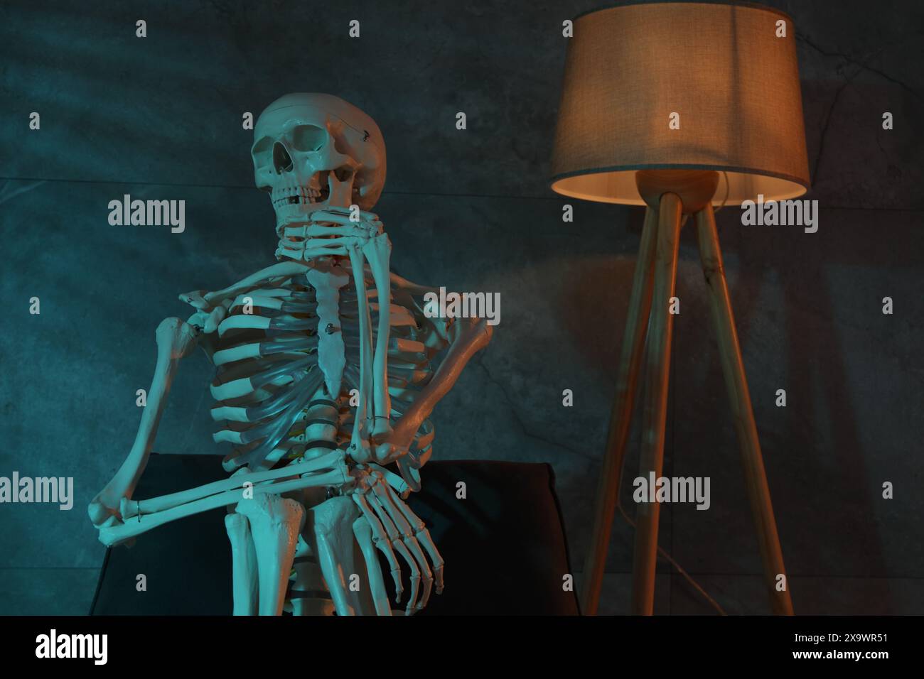 Skeleton sitting hi-res stock photography and images - Alamy