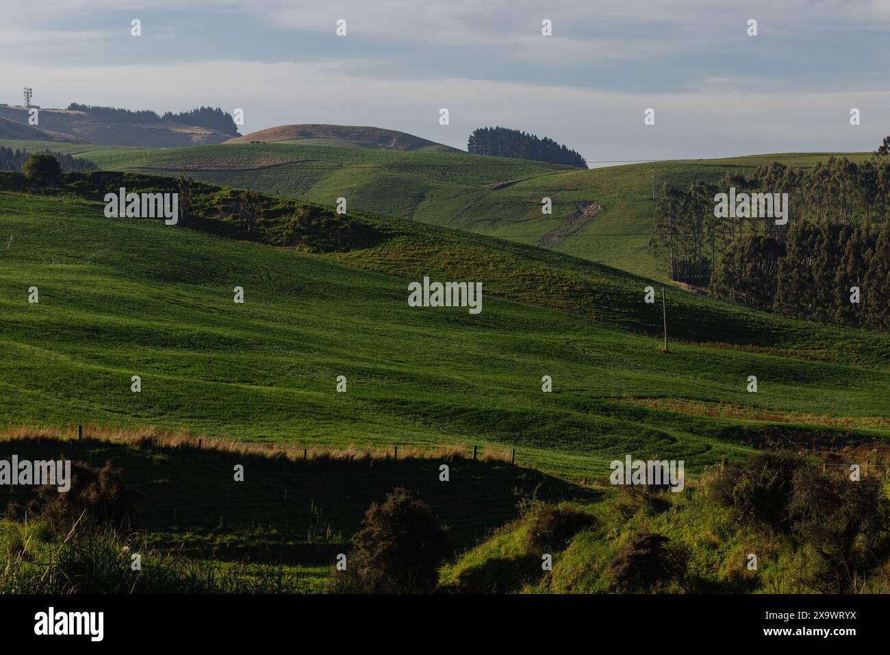 Verdant Hills and Forests in Countryside Stock Photo - Alamy
