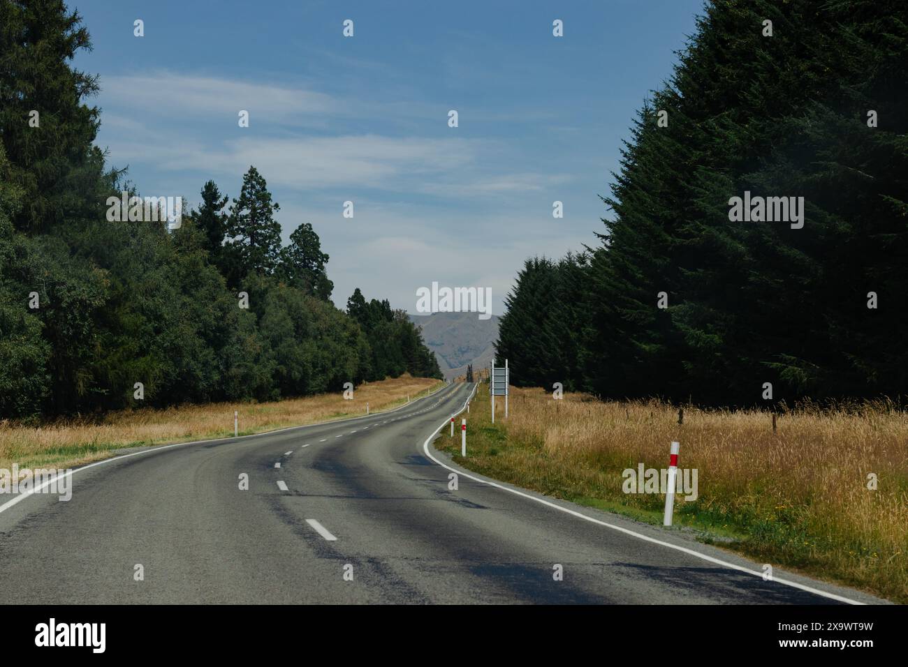 Road flanked by trees hi-res stock photography and images - Alamy