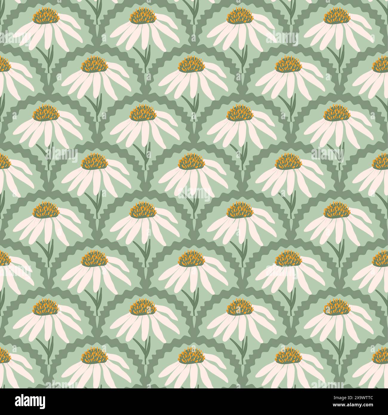 Camomile flowers seamless scalloped pattern. Floral white daisy endless ...