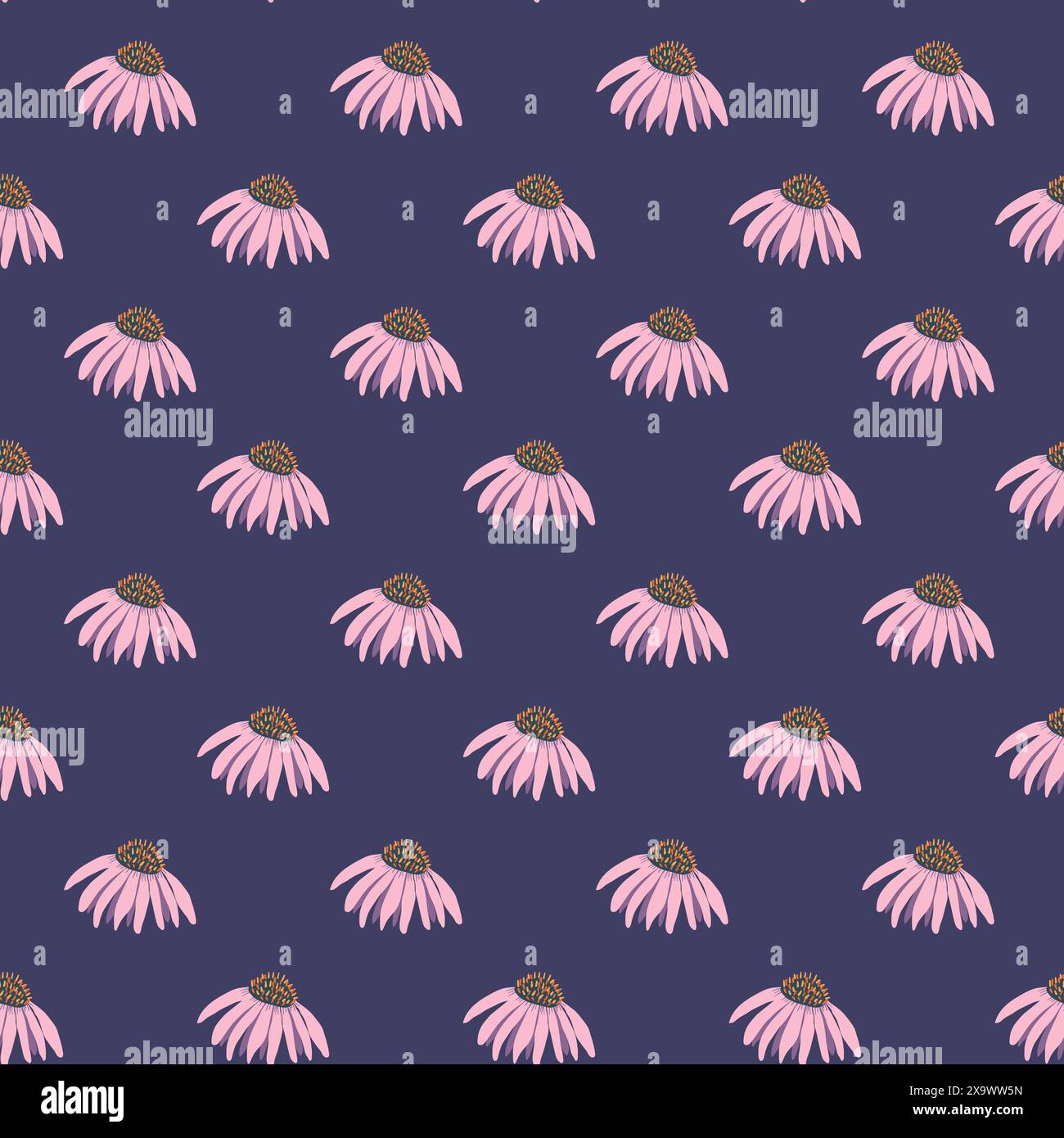 Coneflowers buds seamless pattern. Purple echinacea continuous backdrop ...