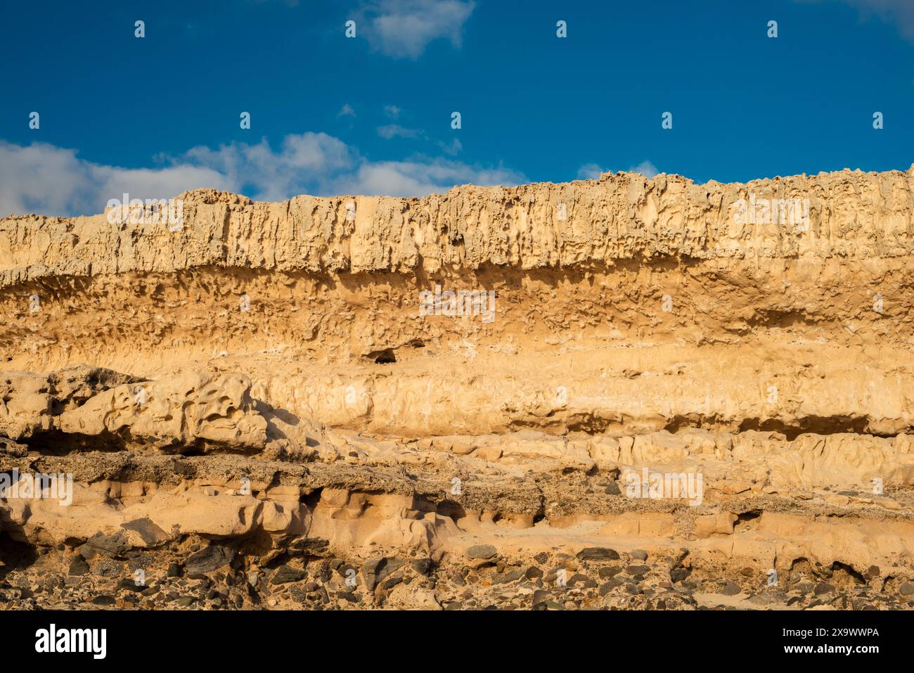 Sequence of Pliocene limestones formed from calcareous sands of organic ...