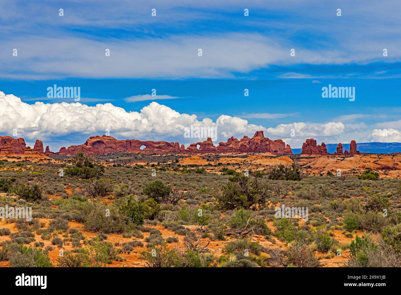 The Windows area of Arches National Park, Moab, Grand County, Utah, USA ...