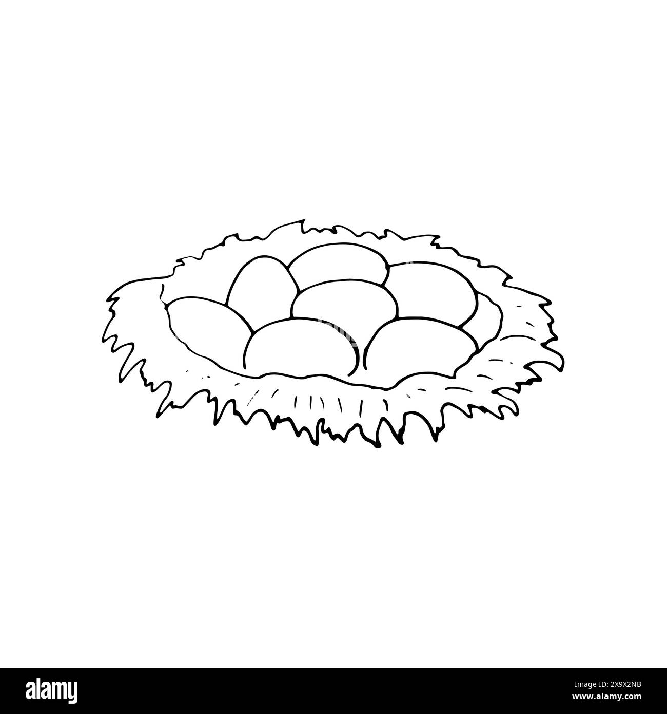 Hand-drawn Nest with eggs. Food illustration isolated on white ...