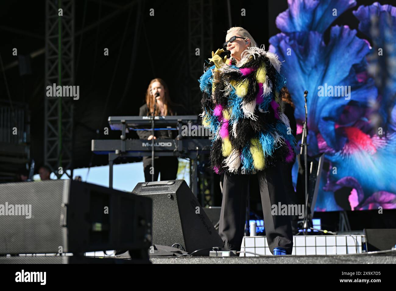 Brockwell Park, London, UK. 2nd June, 2024. Alison Goldfrapp performs ...