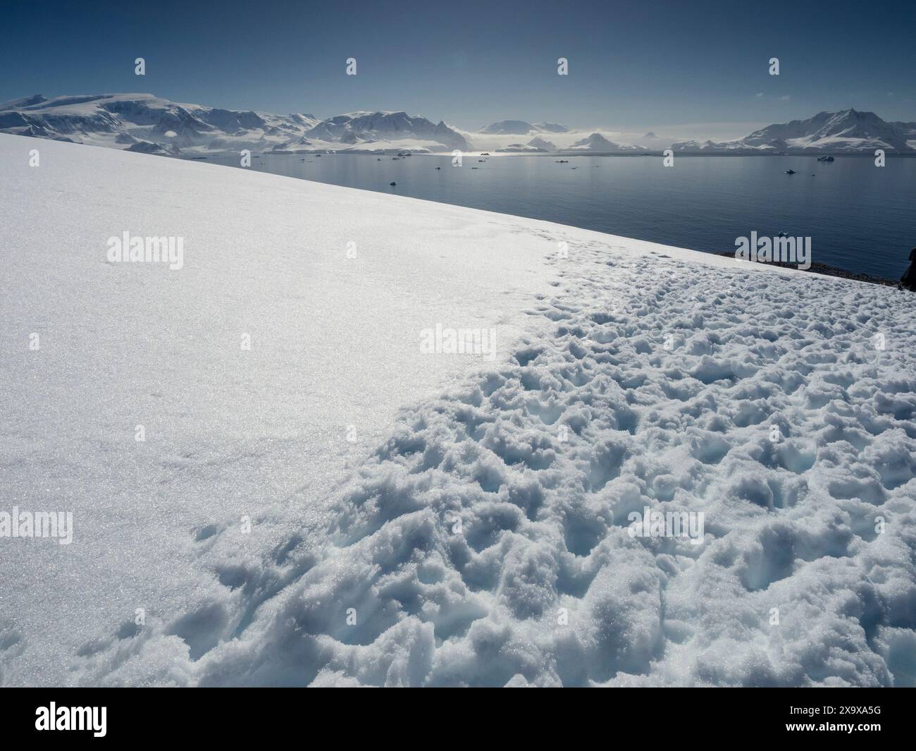 Tourist footprints in snow, Palaver Point, Two Hummock Island ...