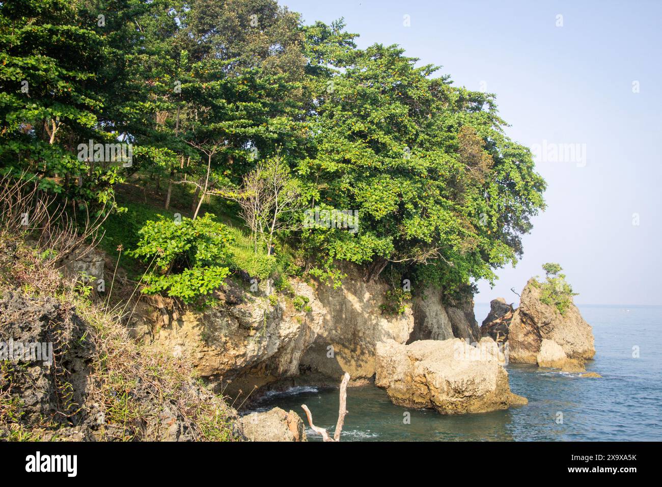 Rocky coastal hills and trees towering above the beach with a negative ...