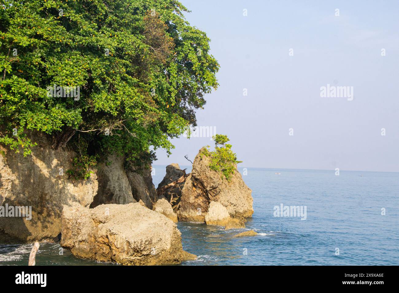 rocky coastal hills and trees towering above the beach with negative ...
