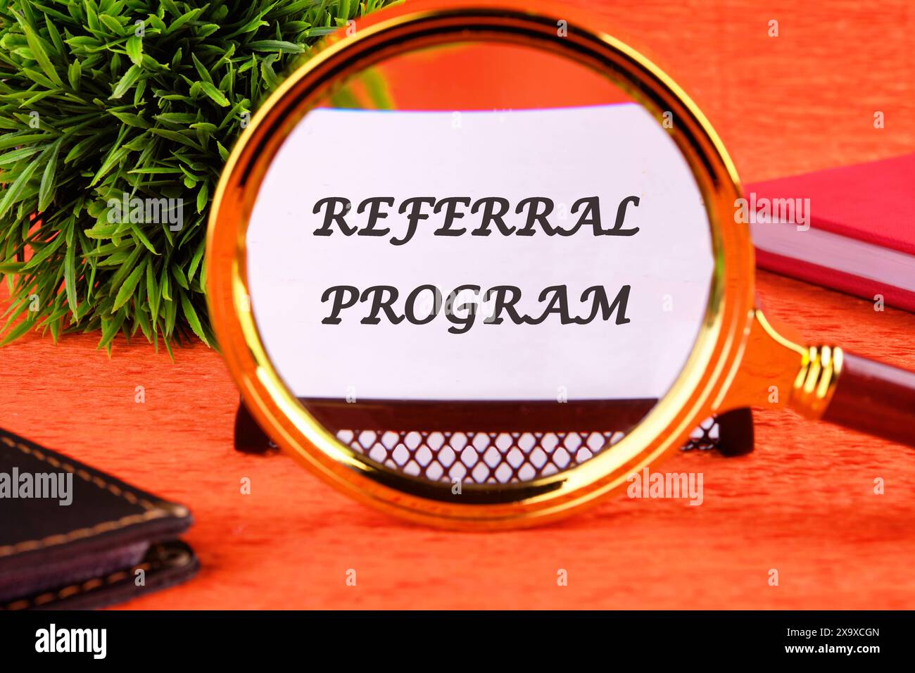 Planning New Ideas. Text Referral Program through a magnifying glass on ...
