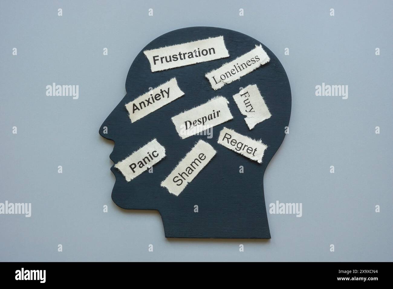 Model of head and words anxiety frustration, panic and despair as ...