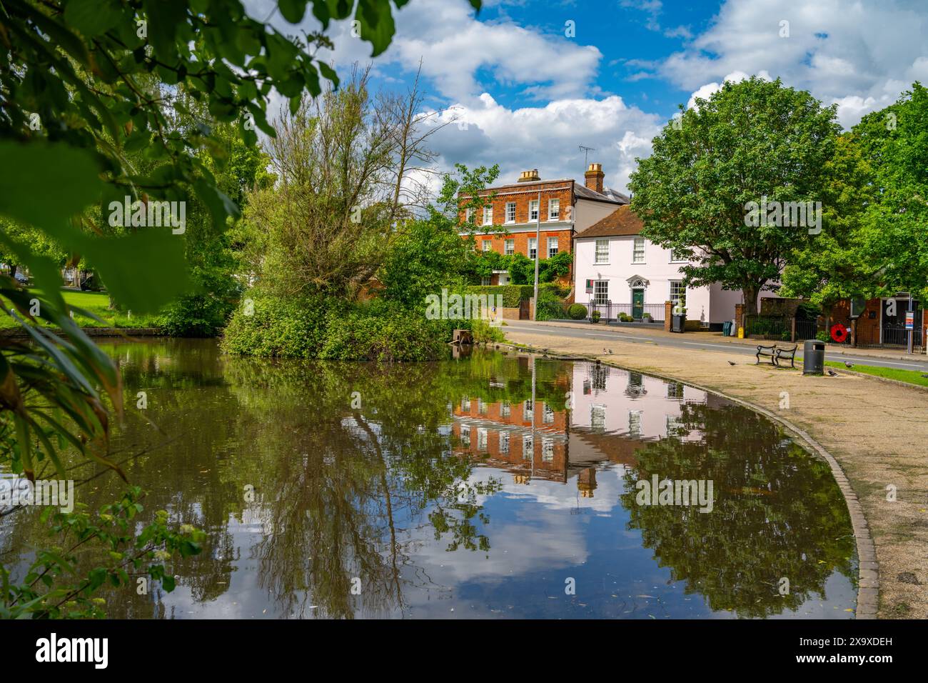 The duck pond on the village green of Writtle near Chelmsford, Essex ...