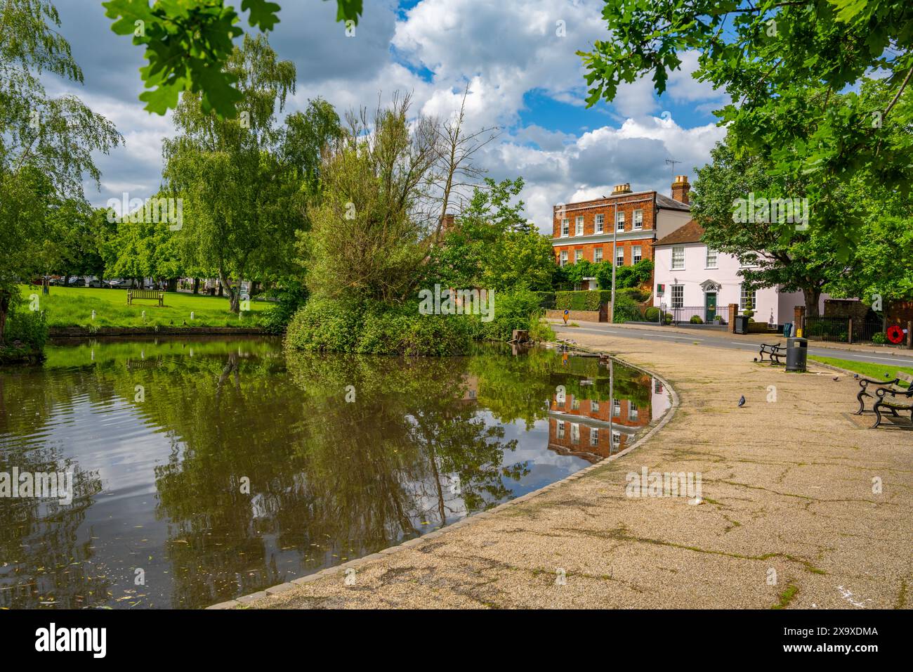 The duck pond on the village green of Writtle near Chelmsford, Essex ...