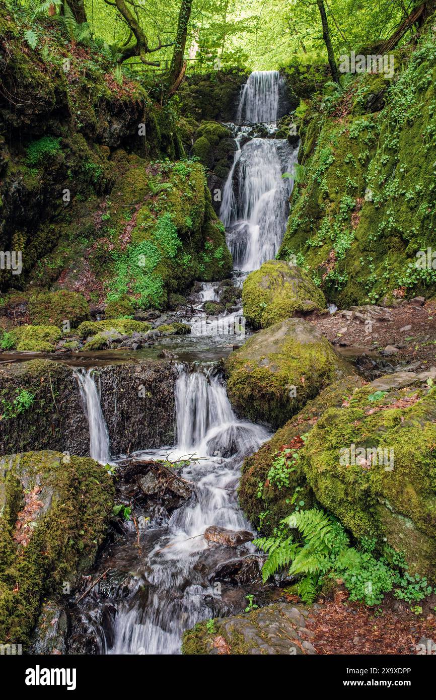 Canonteign estate hi-res stock photography and images - Alamy